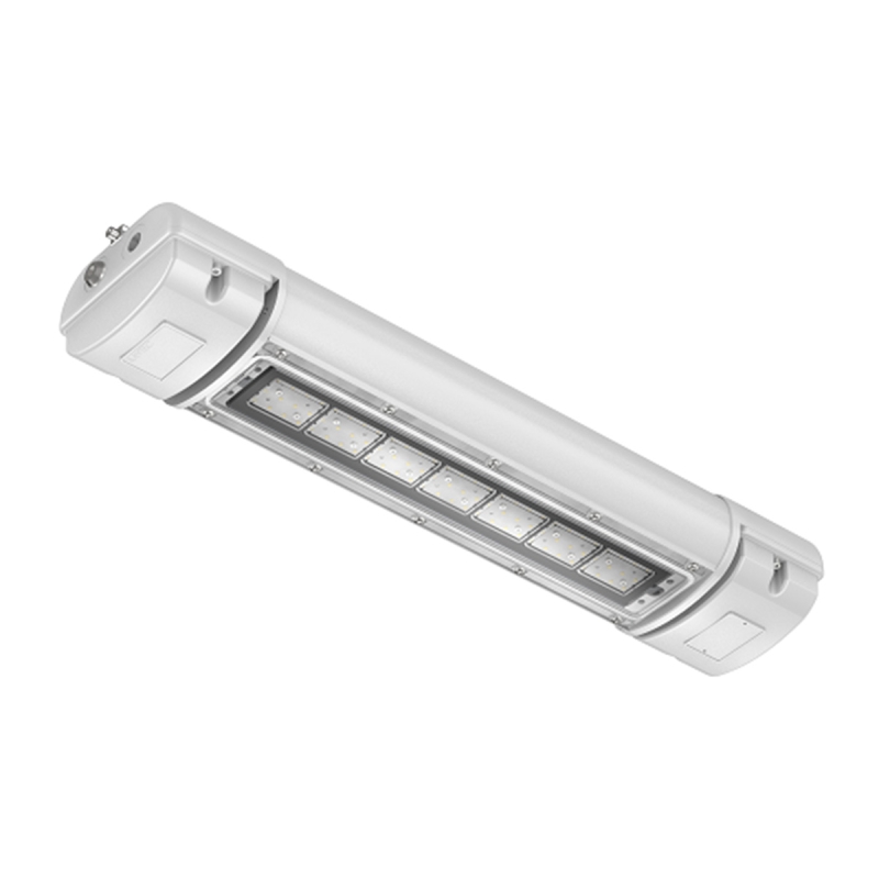 Explosion Proof/Atex Lighting - IC Lighting